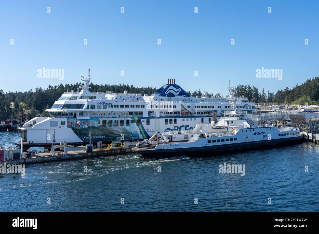 Swartz hi-res stock photography and images - Alamy