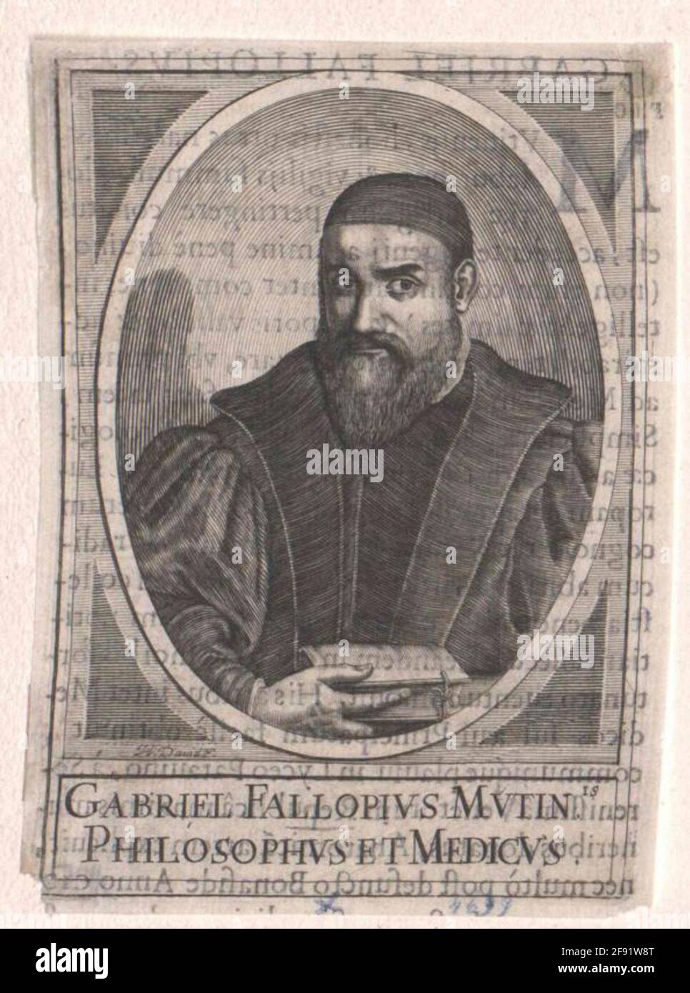 Falloppio, Gabriele Stock Photo - Alamy