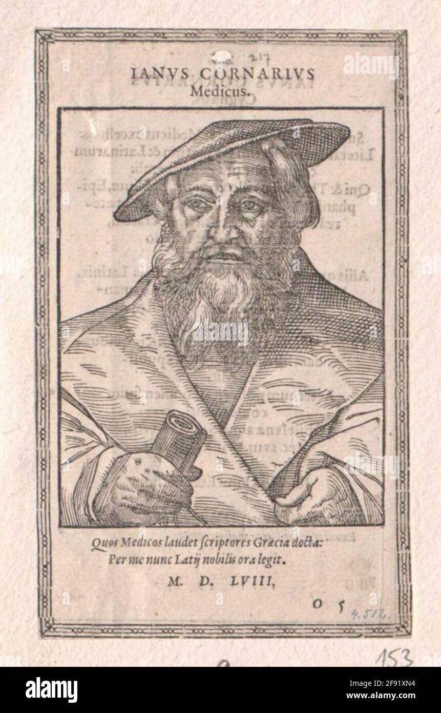 Cornarius hi-res stock photography and images - Alamy