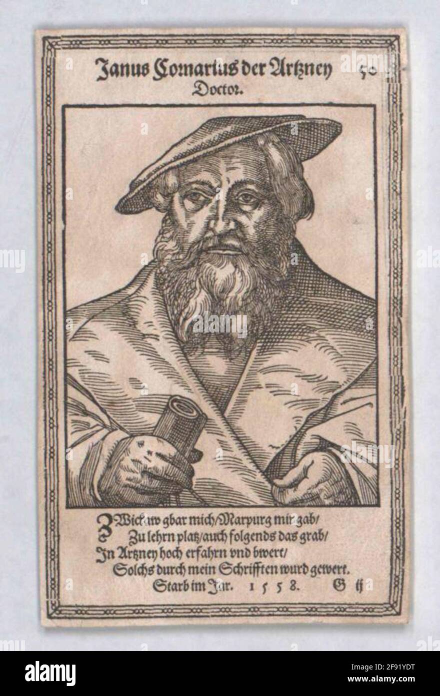Cornarius hi-res stock photography and images - Alamy
