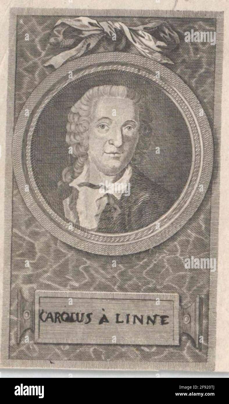 Linné, Charles of Stock Photo - Alamy