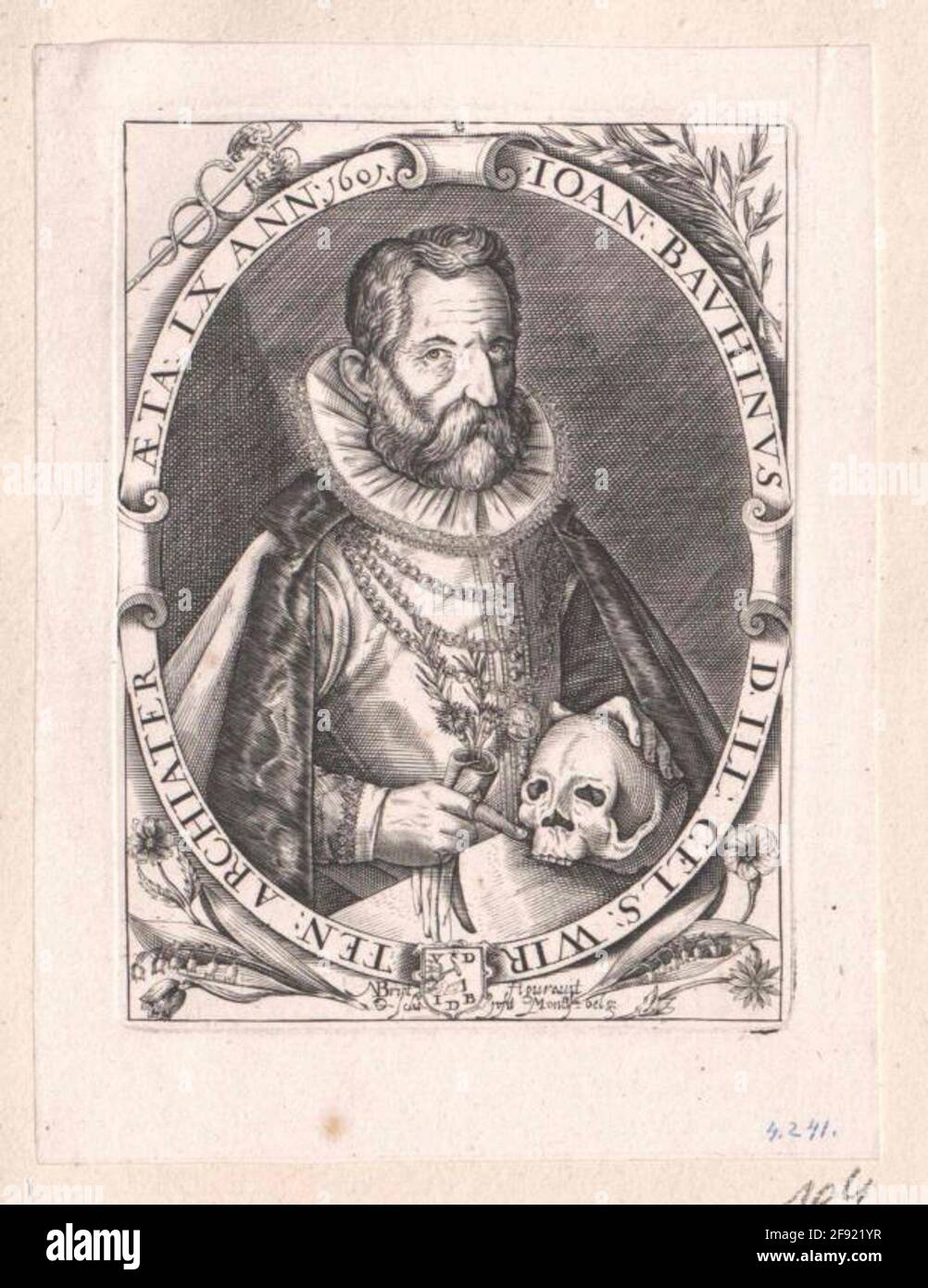 Johann bauhin hi-res stock photography and images - Alamy