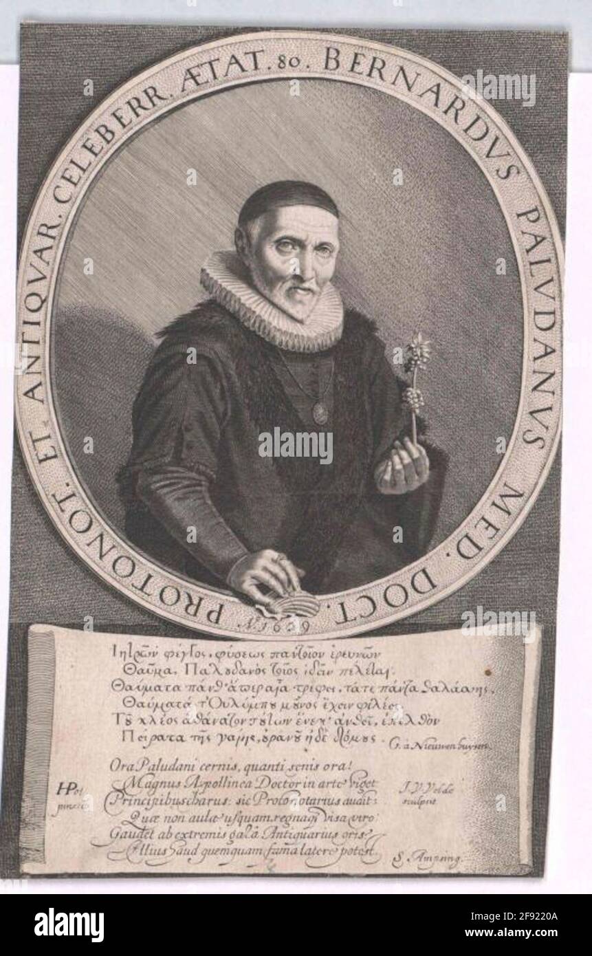 Bernard paludanus hi-res stock photography and images - Alamy