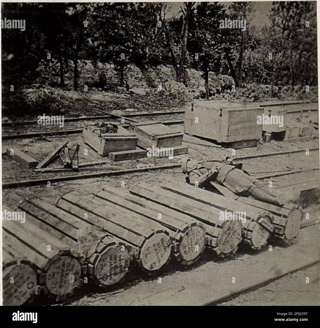 Pedescala hi-res stock photography and images - Alamy