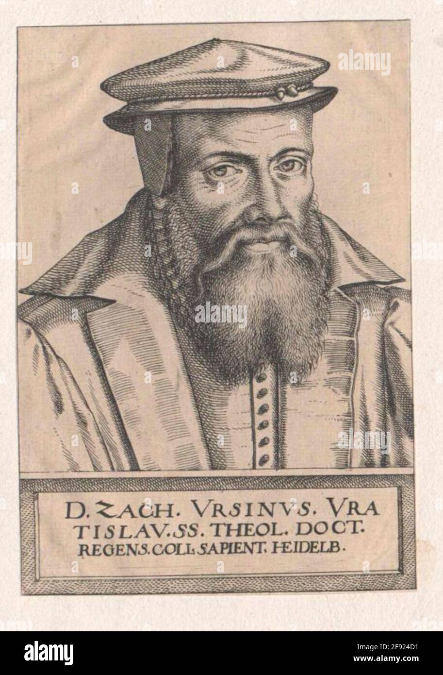 Zacharias ursinus hi-res stock photography and images - Alamy