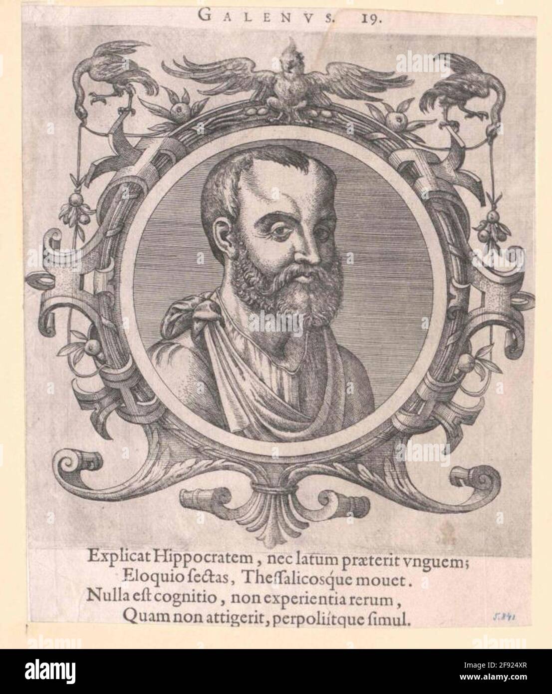 Galen anatomy hi-res stock photography and images - Alamy