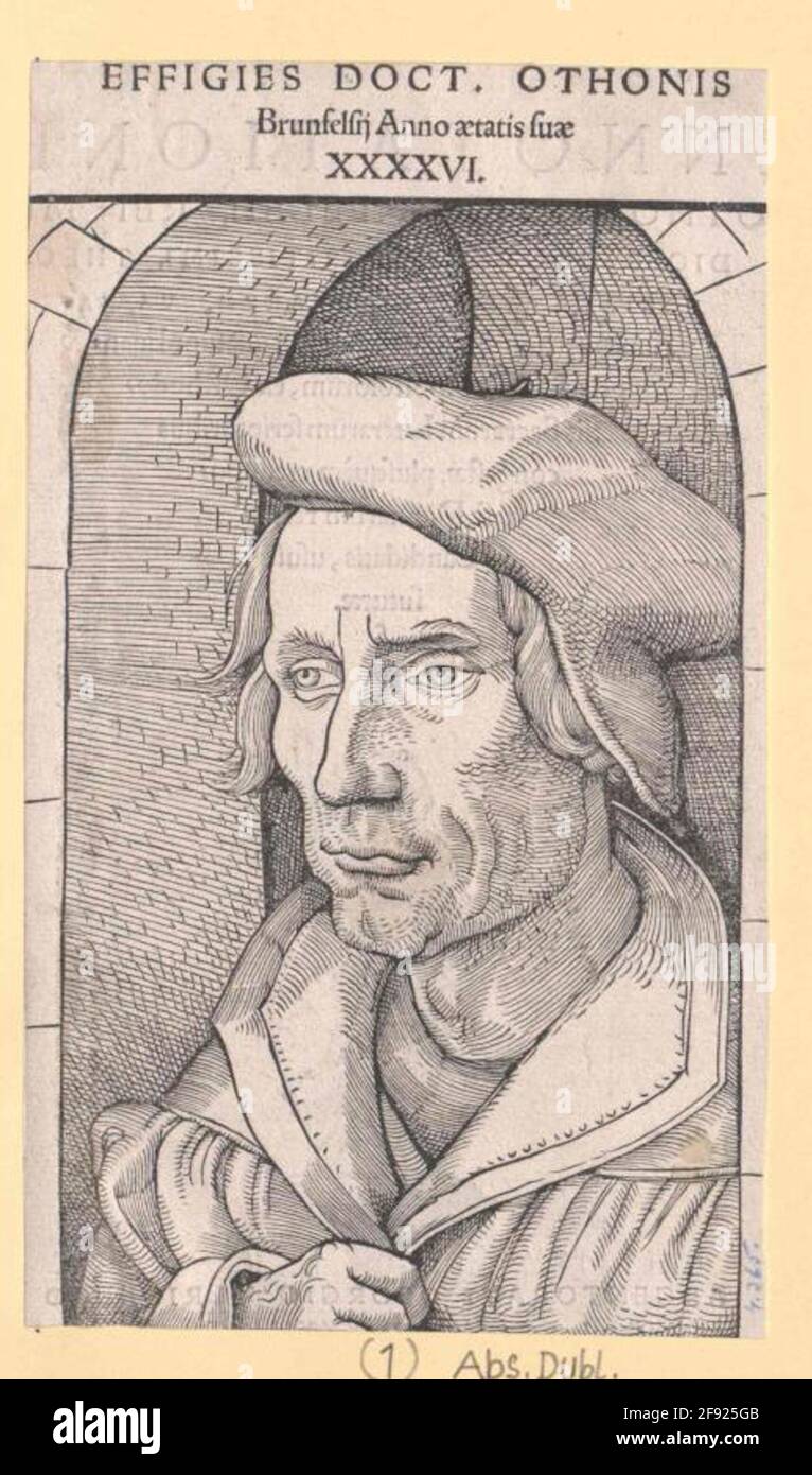 Brunfels hi-res stock photography and images - Alamy