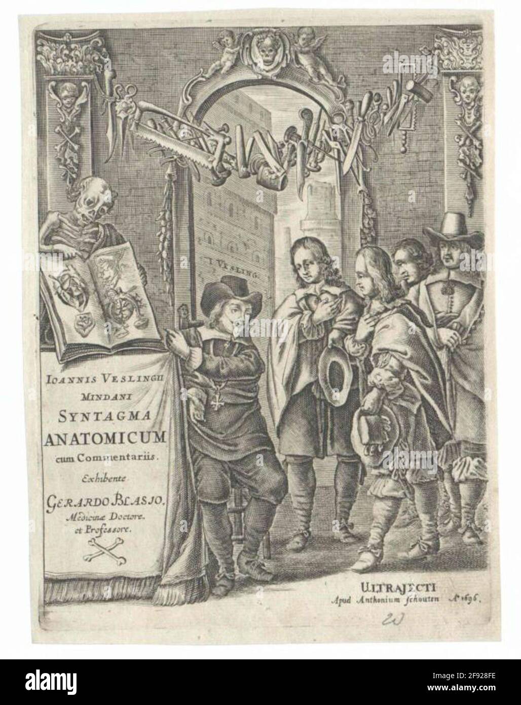 Period botany Cut Out Stock Images & Pictures - Alamy