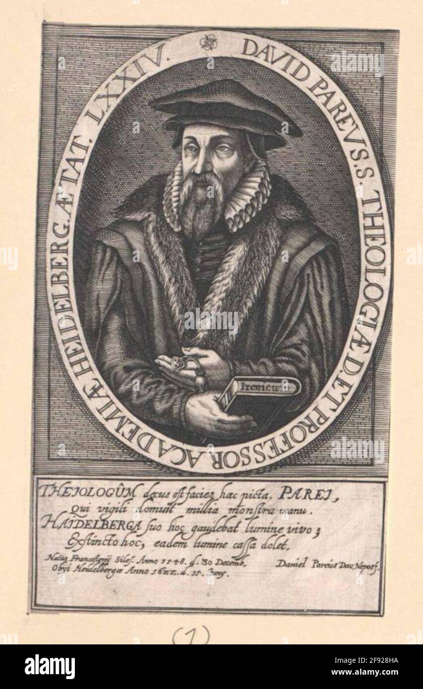 Pareus hi-res stock photography and images - Alamy