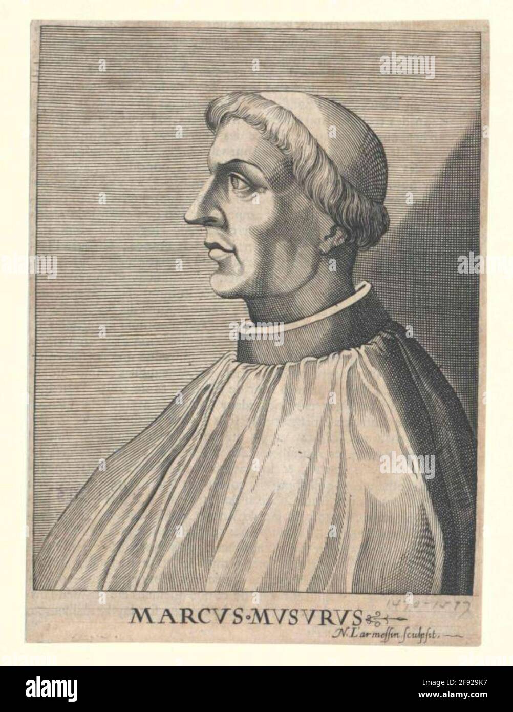 Musurus hi-res stock photography and images - Alamy