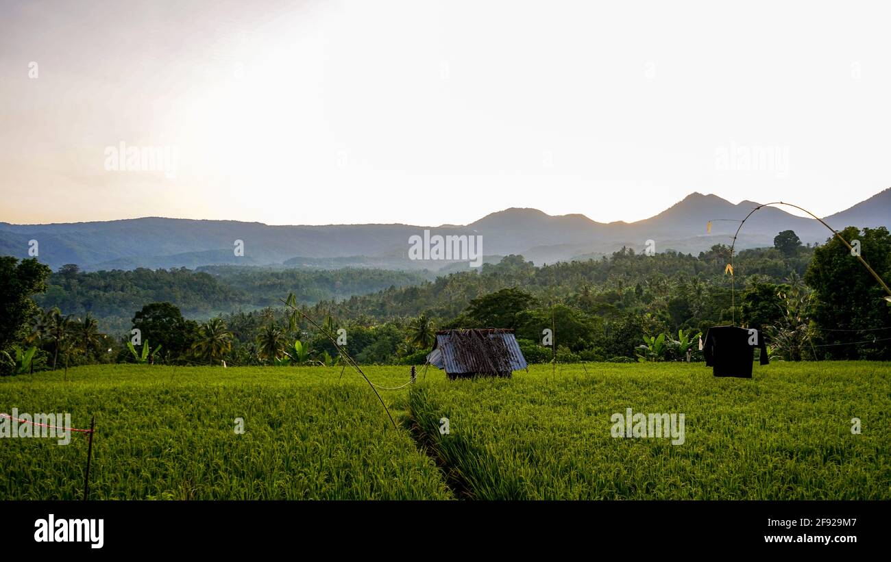 Natural landscapes in tropical countryside Stock Photo - Alamy