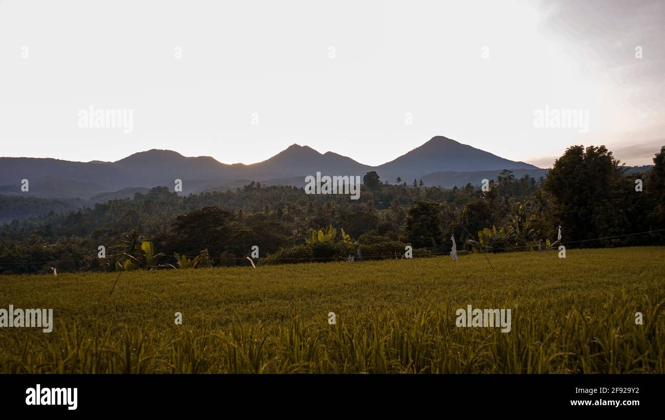 Natural landscapes in tropical countryside Stock Photo - Alamy