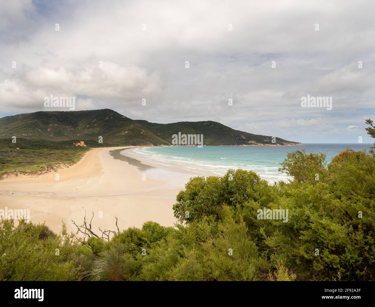 Oberon Bay, Wilsons Promontory National Park, Australia Stock Photo - Alamy