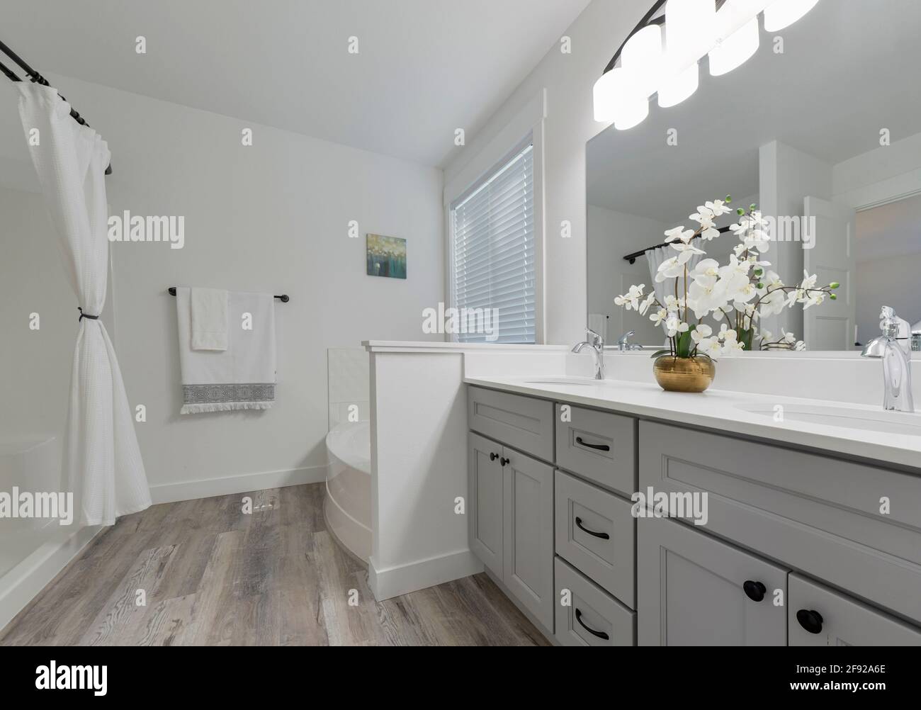 Modern residential bathroom interior Stock Photo - Alamy