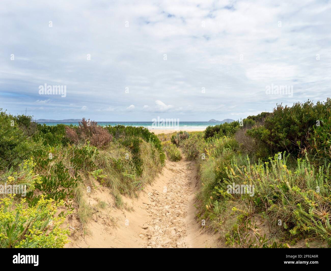 Oberon Bay, Wilsons Promontory National Park, Australia Stock Photo - Alamy