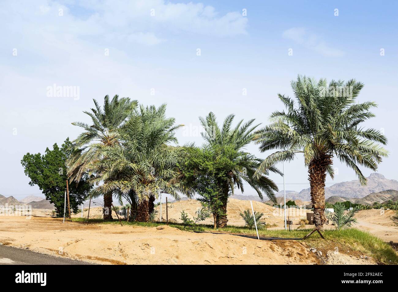 Yanbu saudi arabia historic hi-res stock photography and images - Alamy