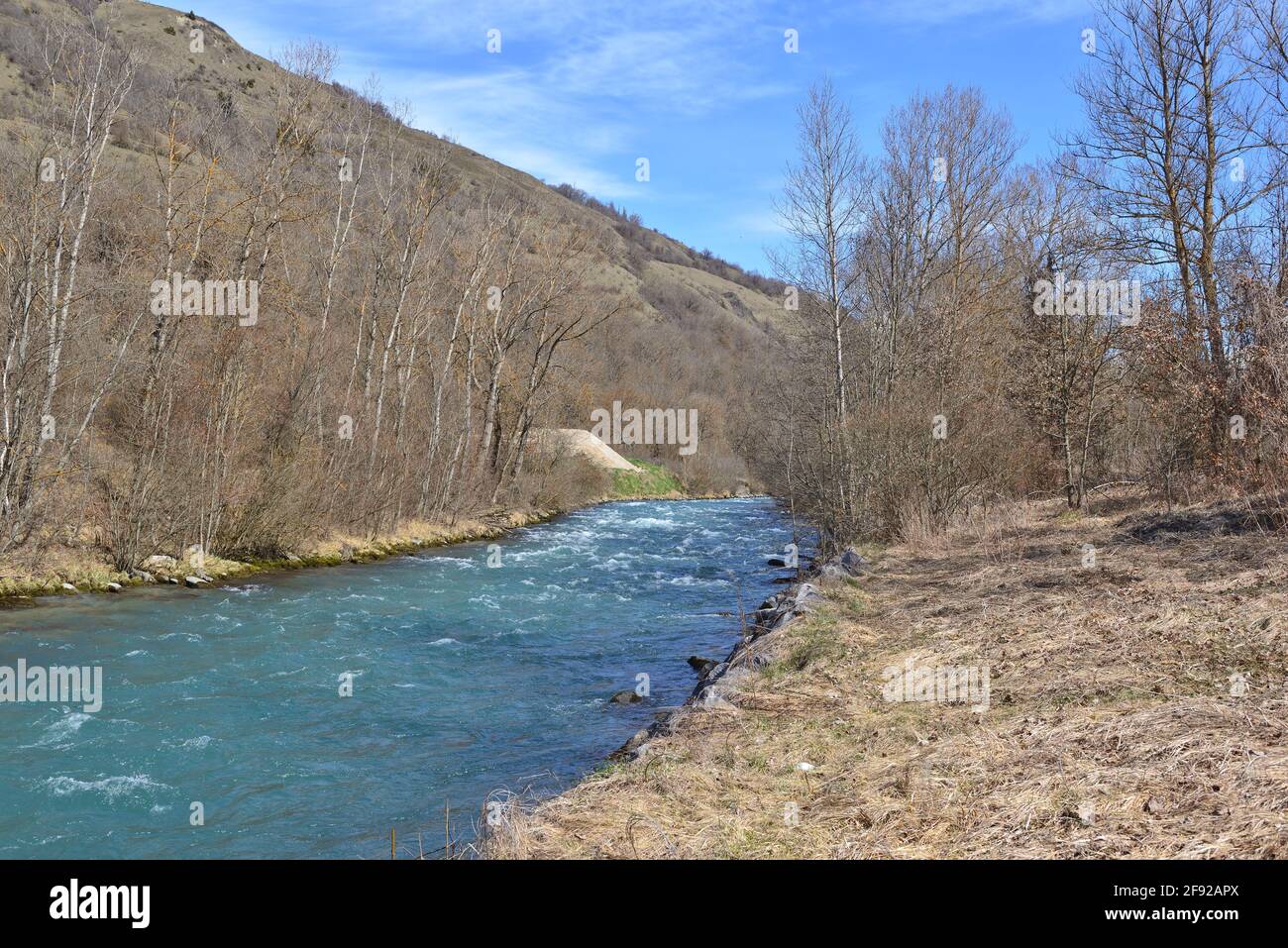view on beautiful blue alpine river flowing between forest bank in ...