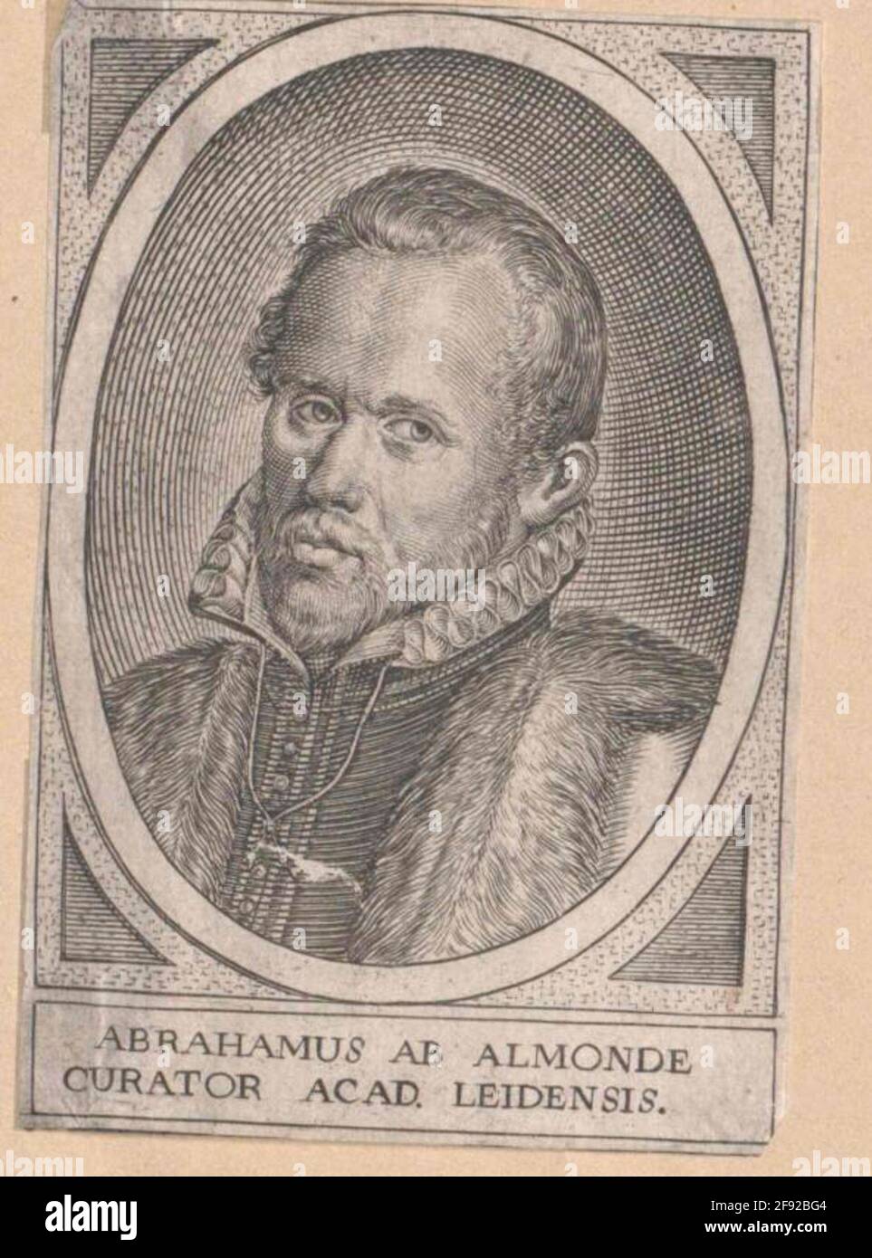 Almonde hi-res stock photography and images - Alamy