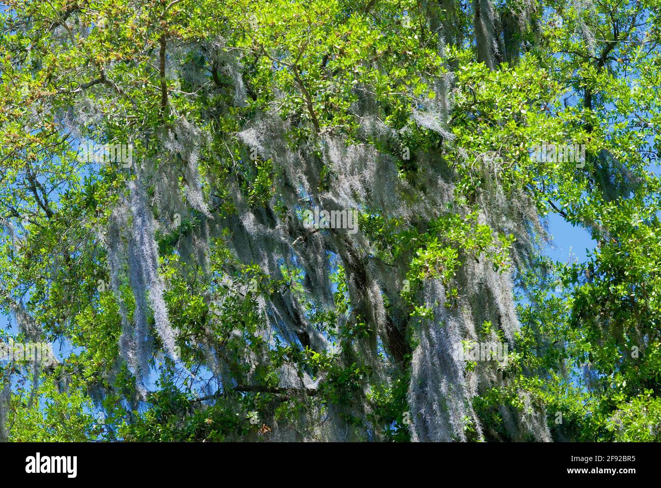 Gentle breeze hi-res stock photography and images - Alamy