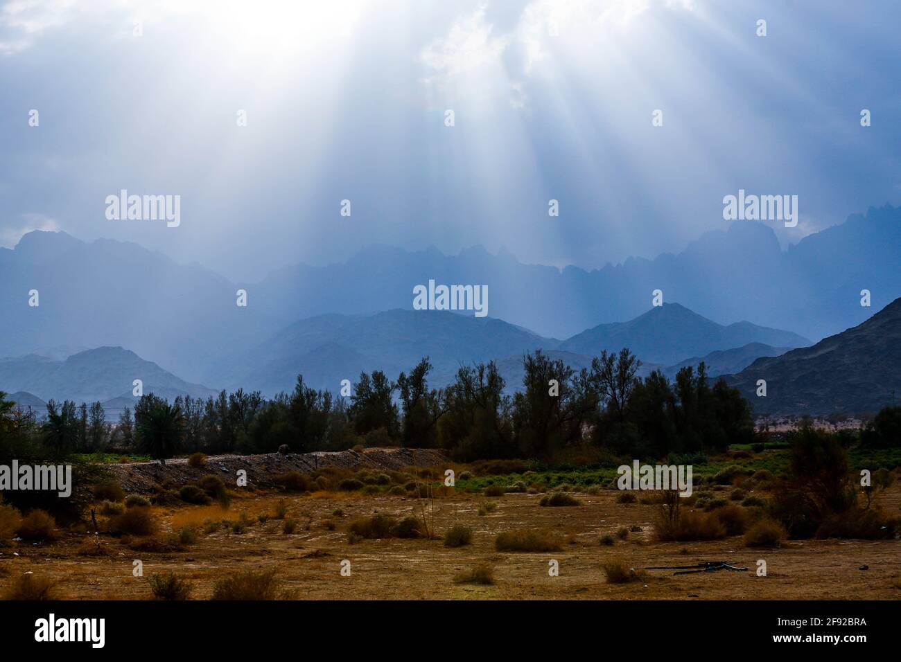Transparent sunlight lens flare hi-res stock photography and images - Alamy