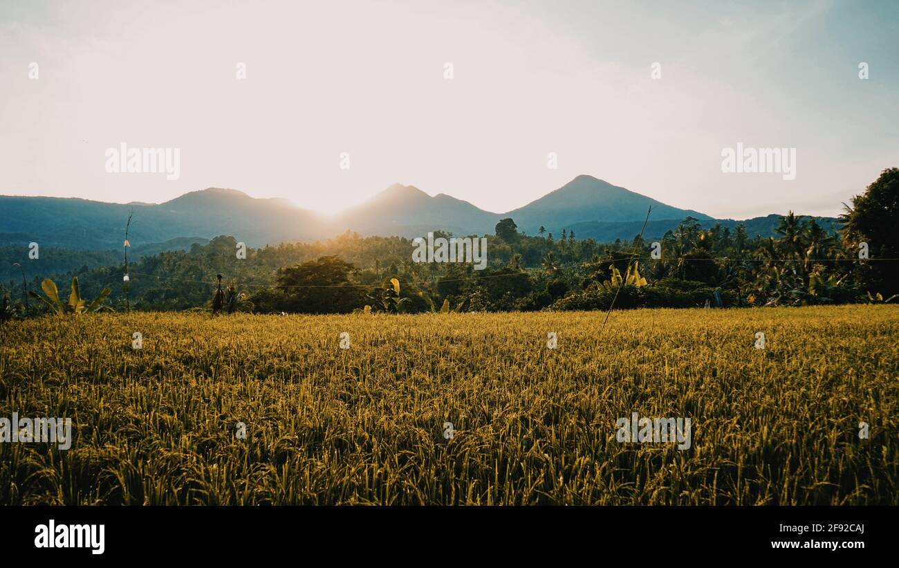 Natural landscapes in tropical countryside Stock Photo - Alamy