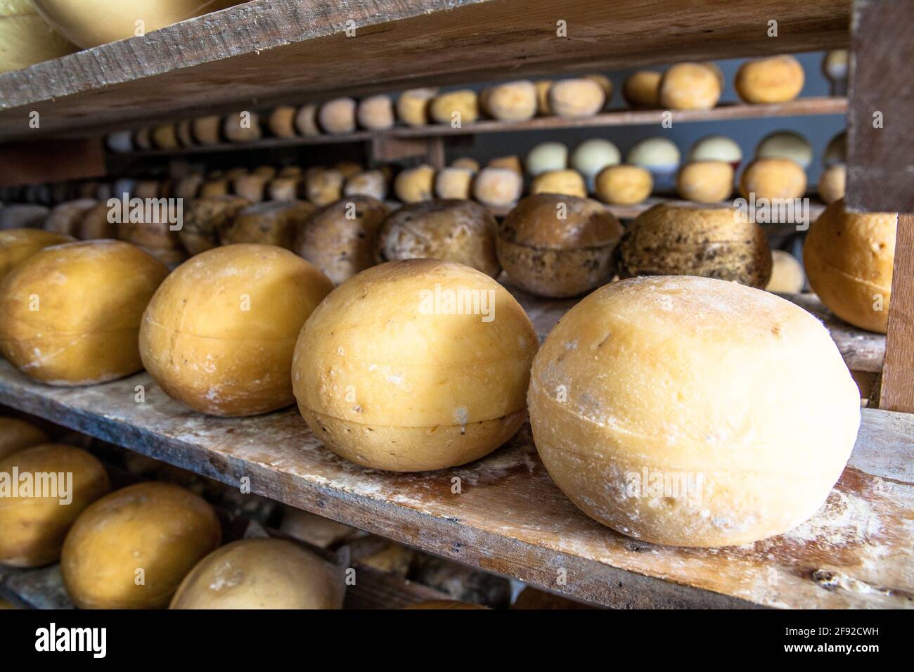 Cheese ripening shelves hi-res stock photography and images - Alamy