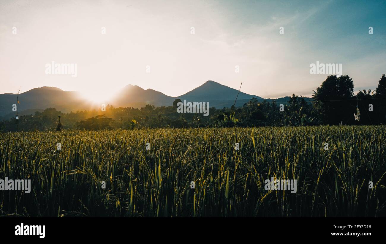 Natural landscapes in tropical countryside Stock Photo - Alamy
