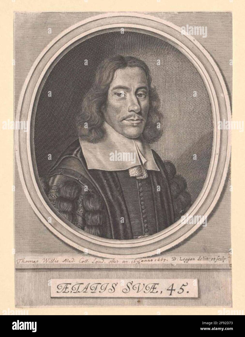 Thomas willis brain hi-res stock photography and images - Alamy