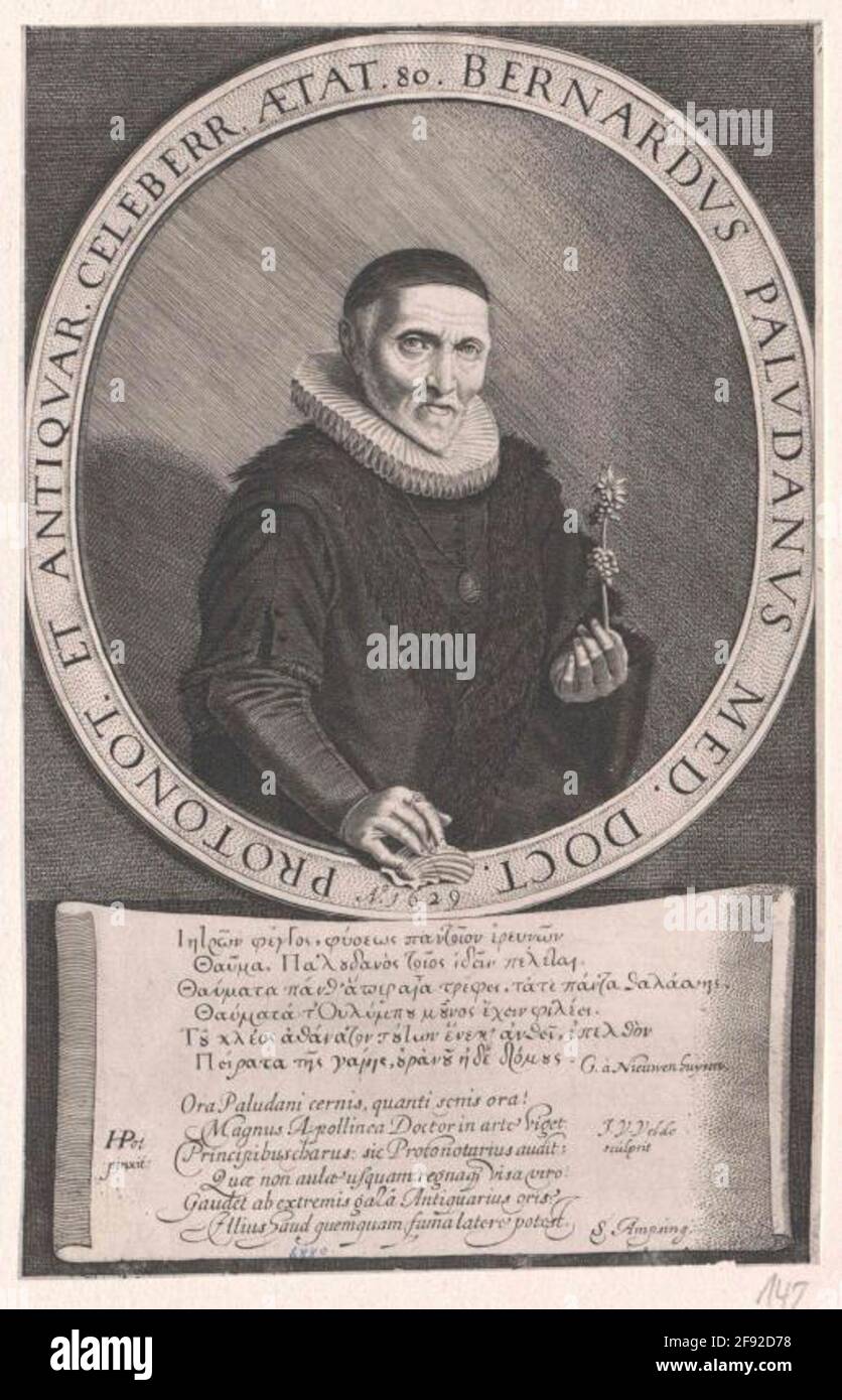 Paludanus hi-res stock photography and images - Alamy