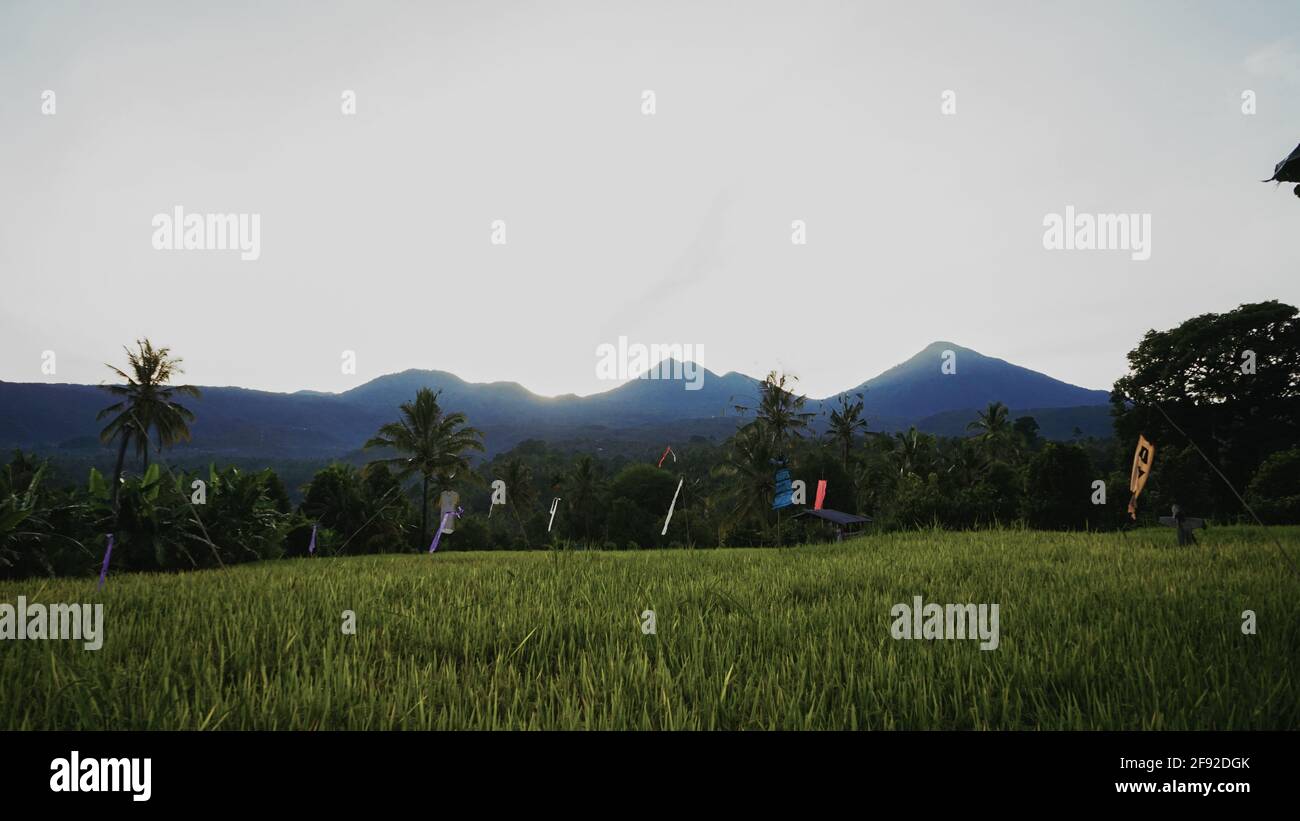 Natural landscapes in tropical countryside Stock Photo - Alamy
