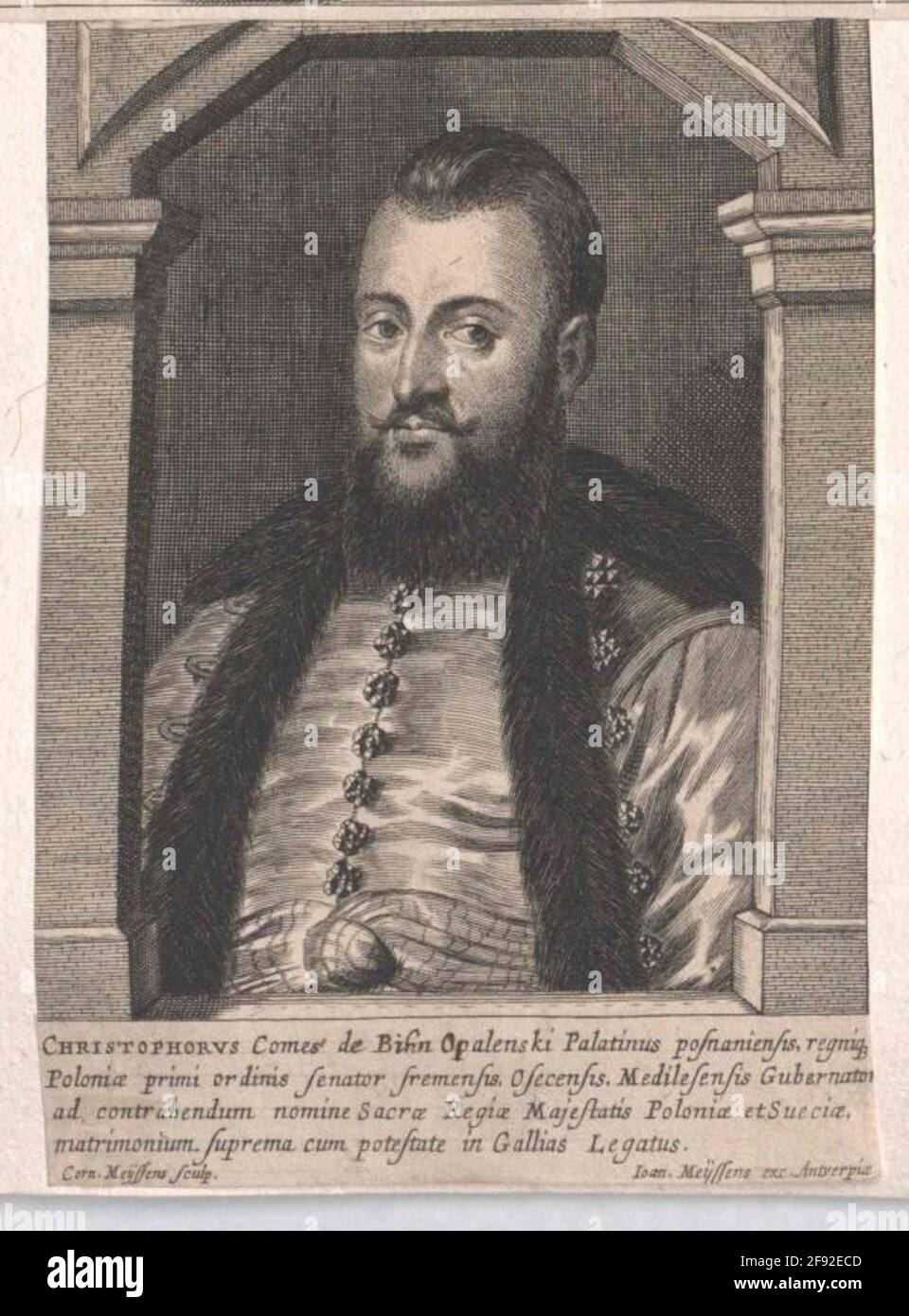 Opalinski High Resolution Stock Photography and Images - Alamy