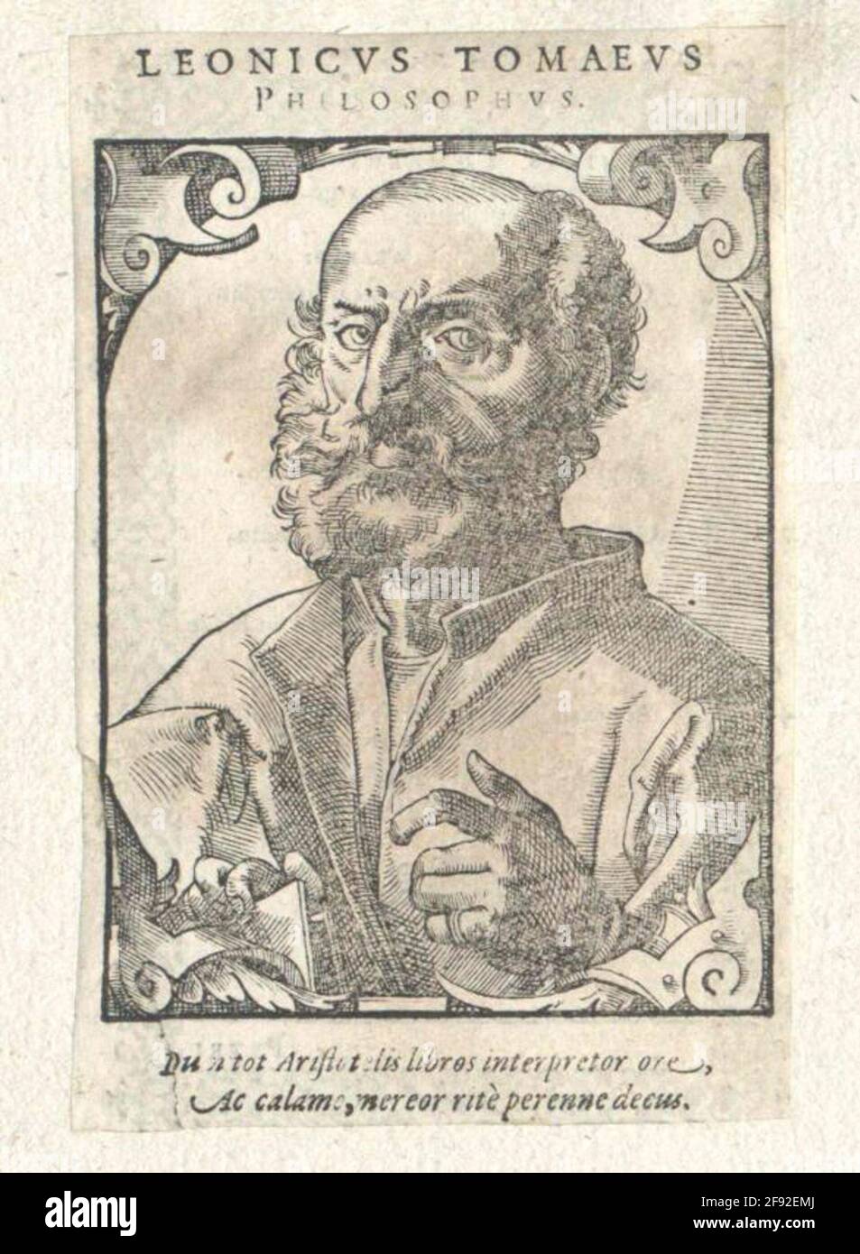 Tomeo hi-res stock photography and images - Alamy