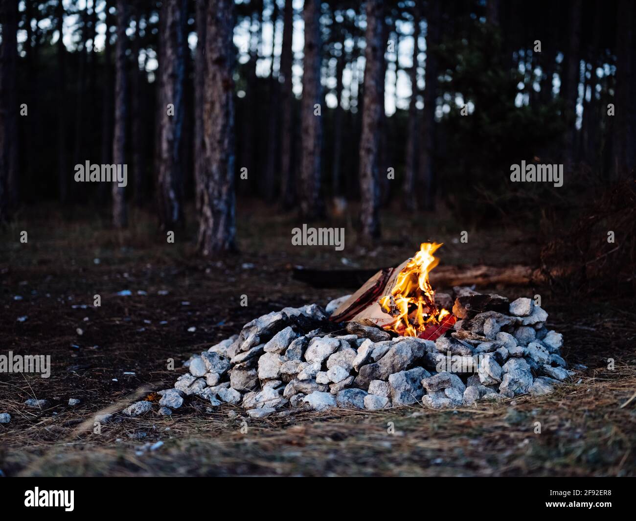 kindled fire in nature in the forest and trees In the background Stock ...
