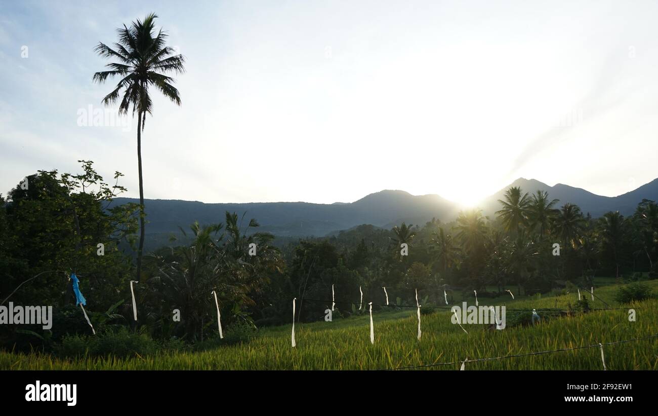 Natural landscapes in tropical countryside Stock Photo - Alamy