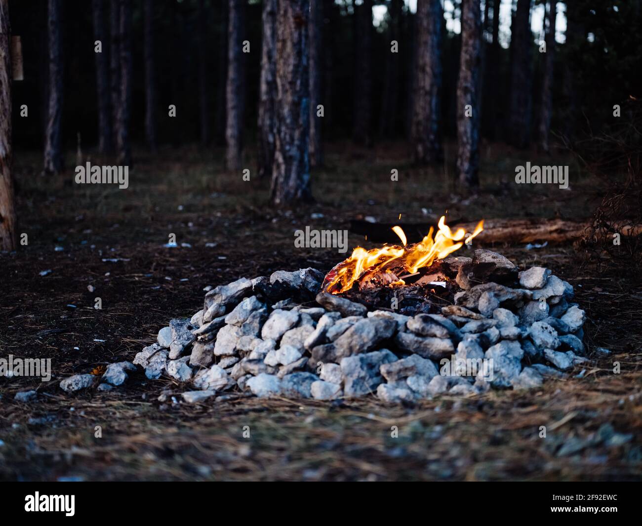 kindled fire in nature in the forest and trees In the background Stock ...