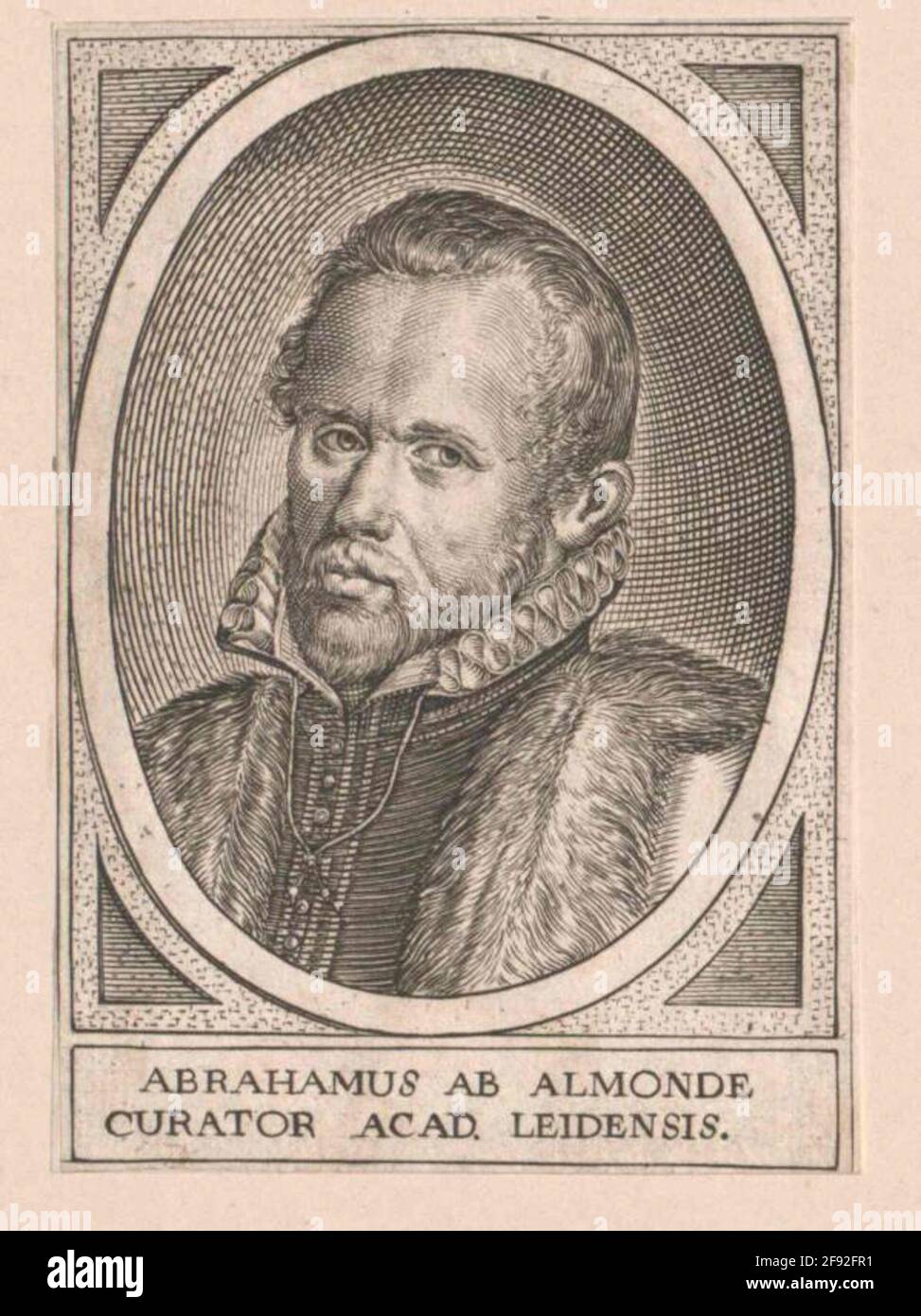 Almonde hi-res stock photography and images - Alamy