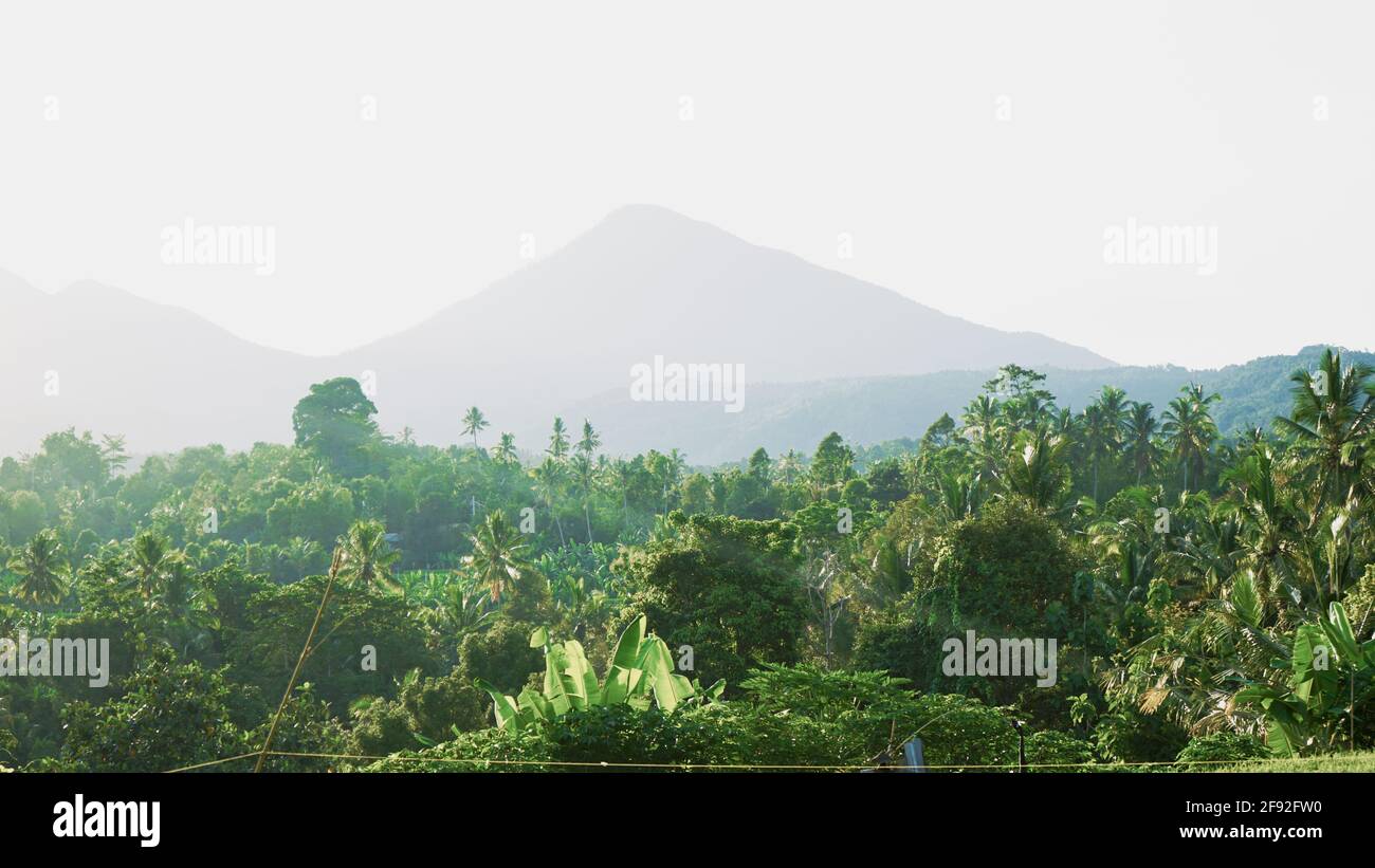 Natural landscapes in tropical countryside Stock Photo - Alamy