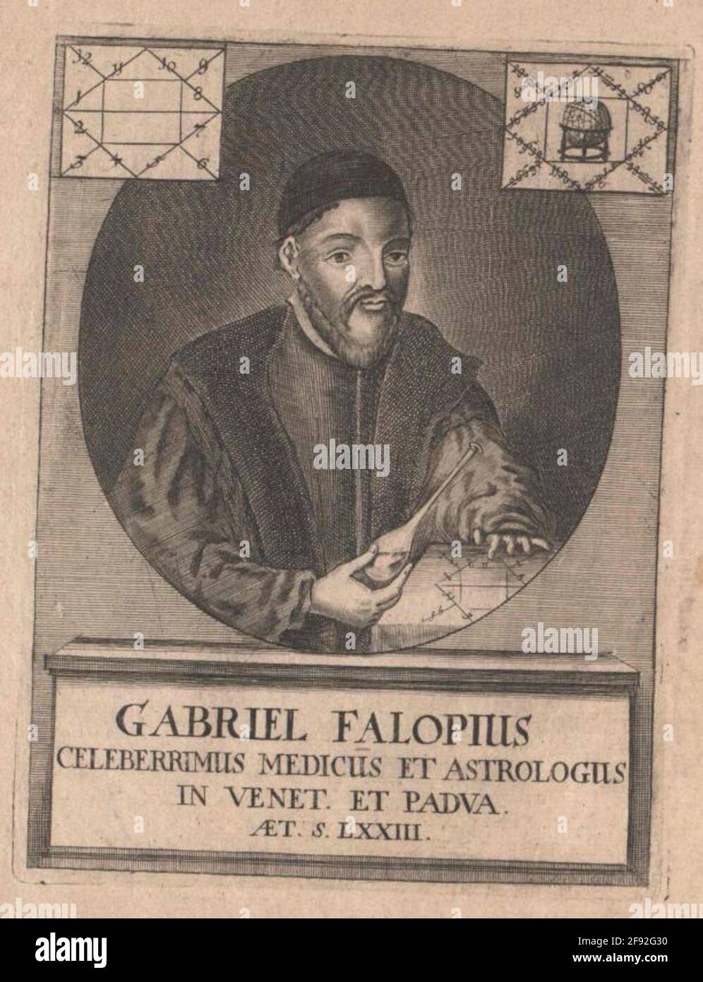 Falloppio, Gabriele Stock Photo - Alamy