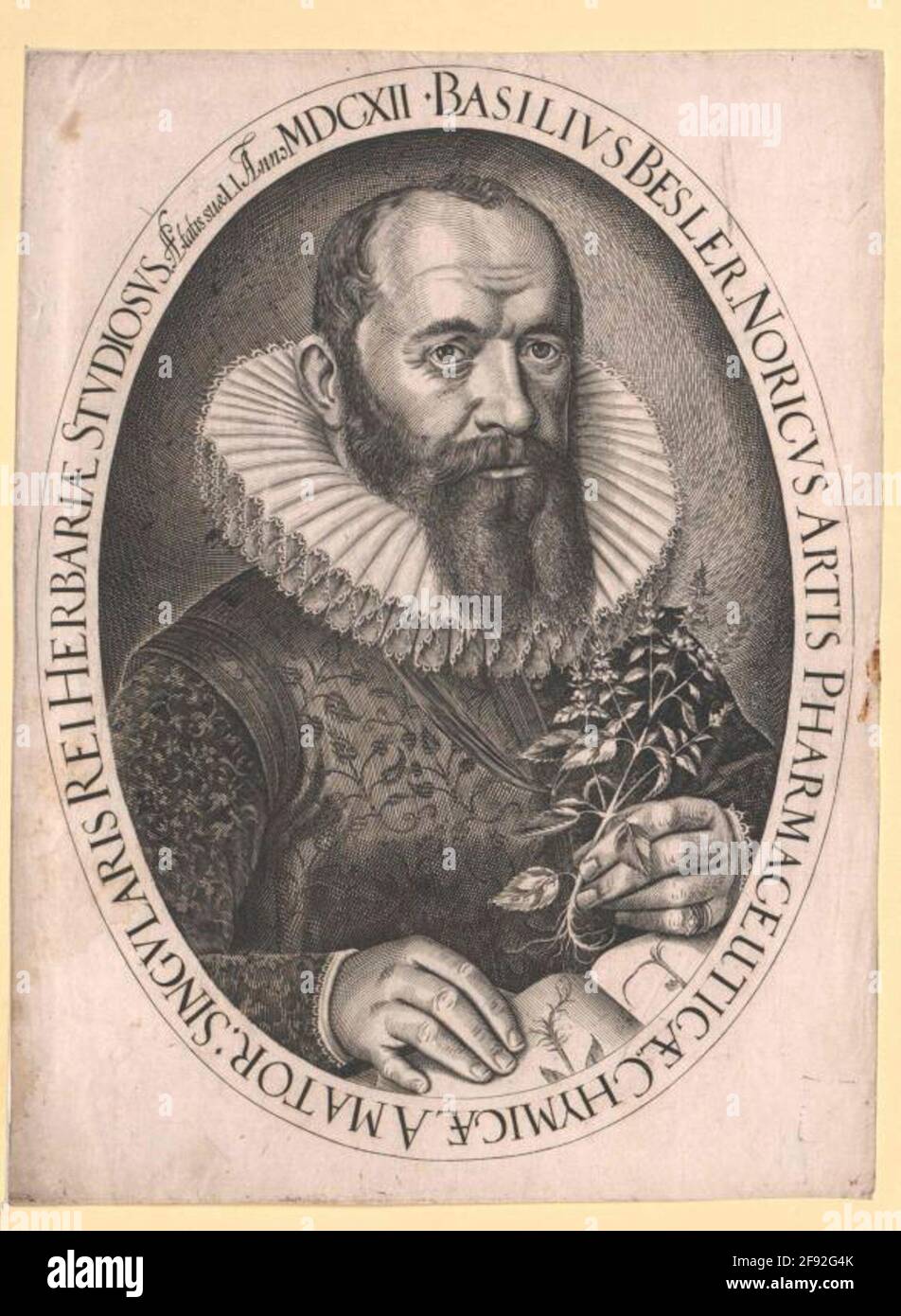 Besler hi-res stock photography and images - Alamy