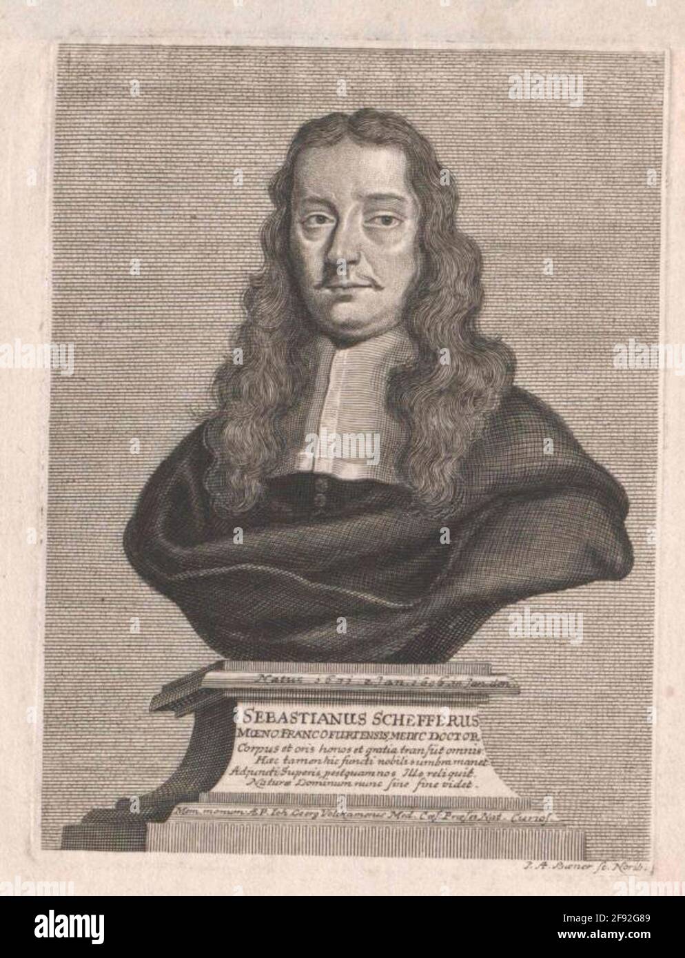 Sebastian scheffer hi-res stock photography and images - Alamy