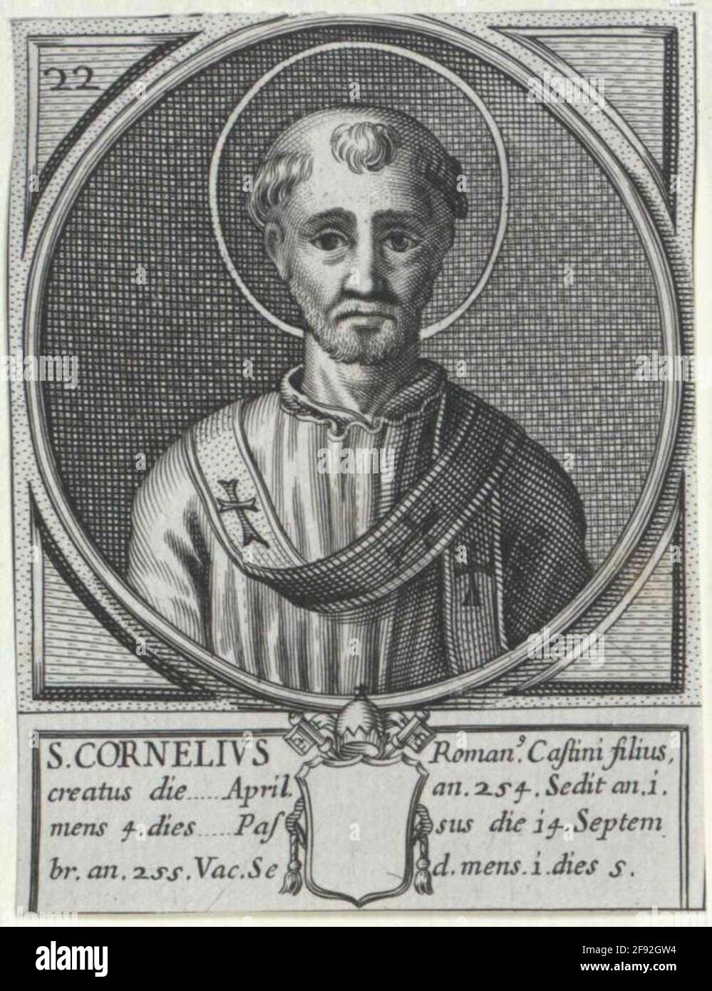 The pope foundation hi-res stock photography and images - Alamy