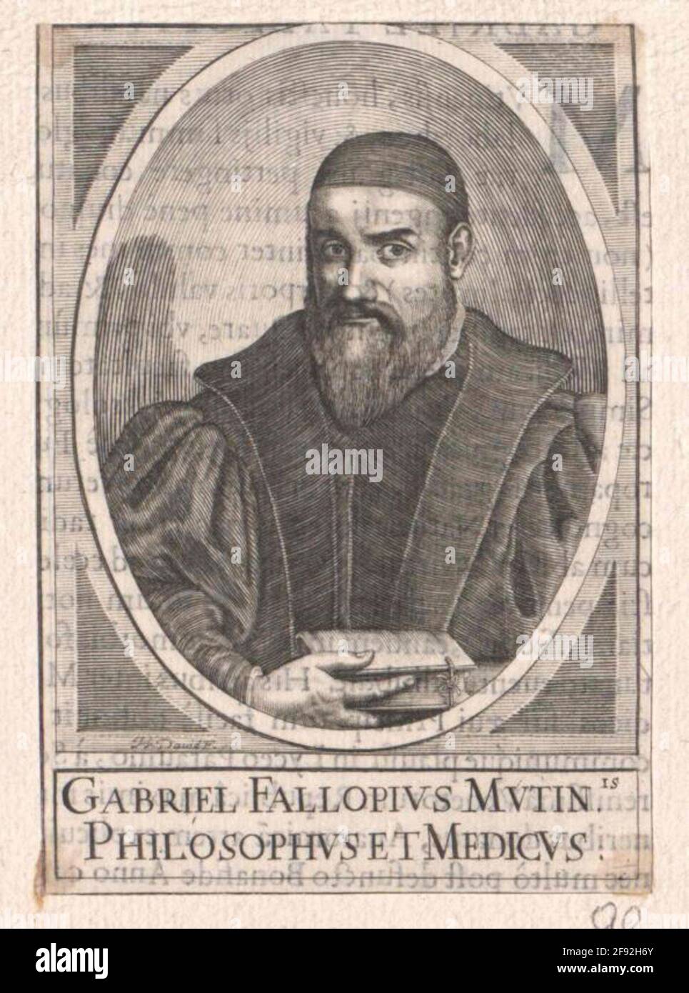 Falloppio, Gabriele Stock Photo - Alamy