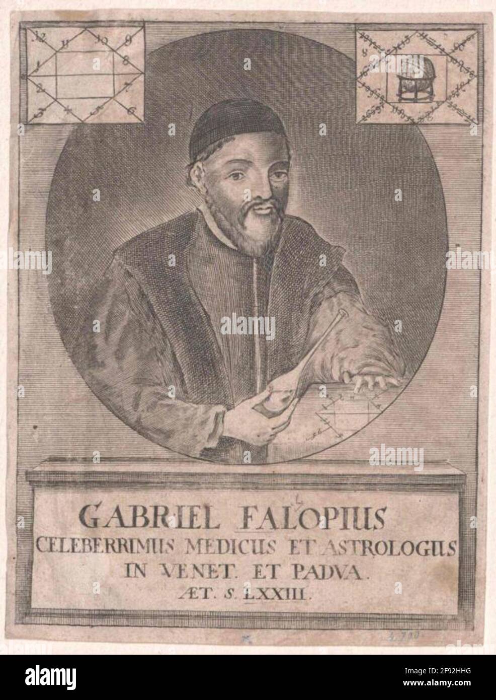 Falloppio, Gabriele Stock Photo - Alamy