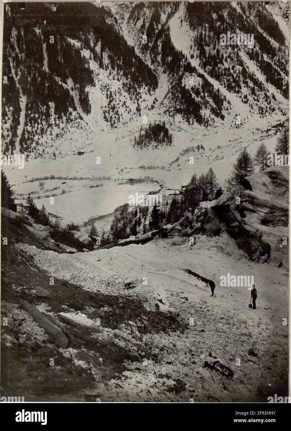 Avalanche at Stavel, view of the avalanche duct from the Reichsstrasse ...