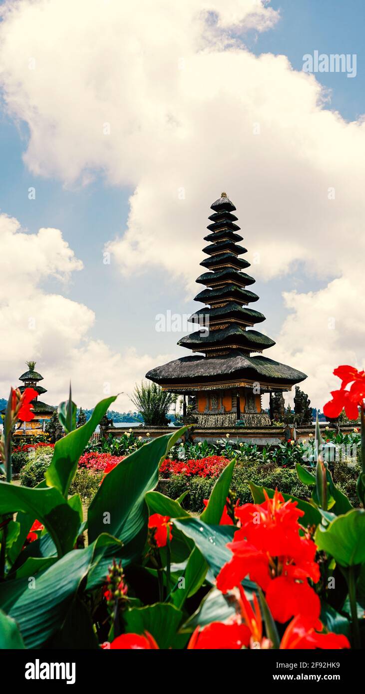 Natural landscapes in tropical countryside Stock Photo - Alamy