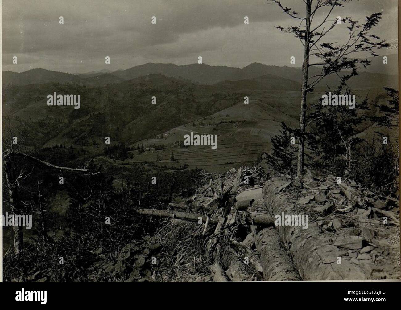 World war ii soldier trench hi-res stock photography and images - Alamy