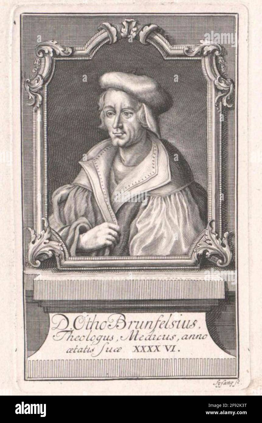 Otto brunfels hi-res stock photography and images - Alamy