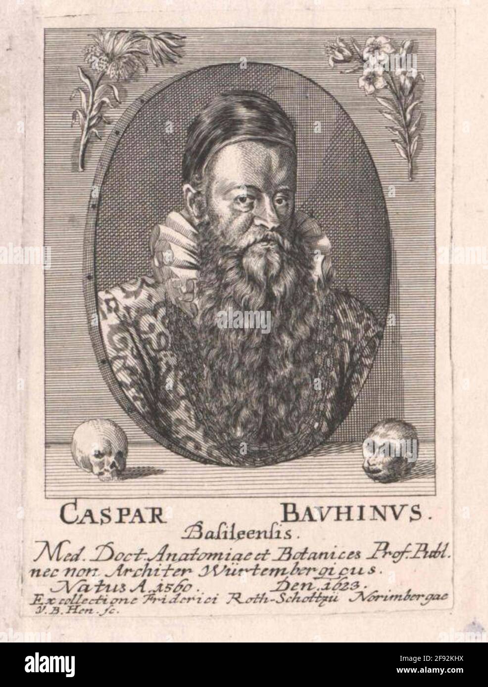 Bauhin, Kaspar eraser: Henning, Veit Balthazardatting: 1722/1762 Stock ...
