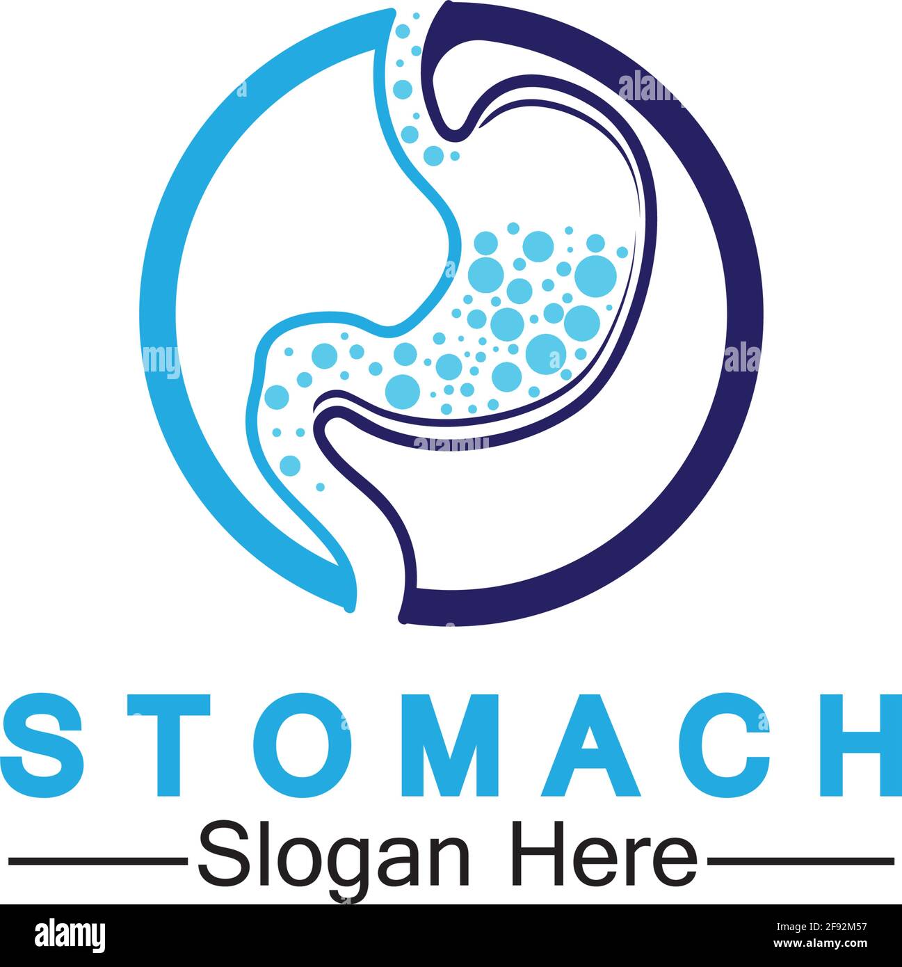 Stomach Vector