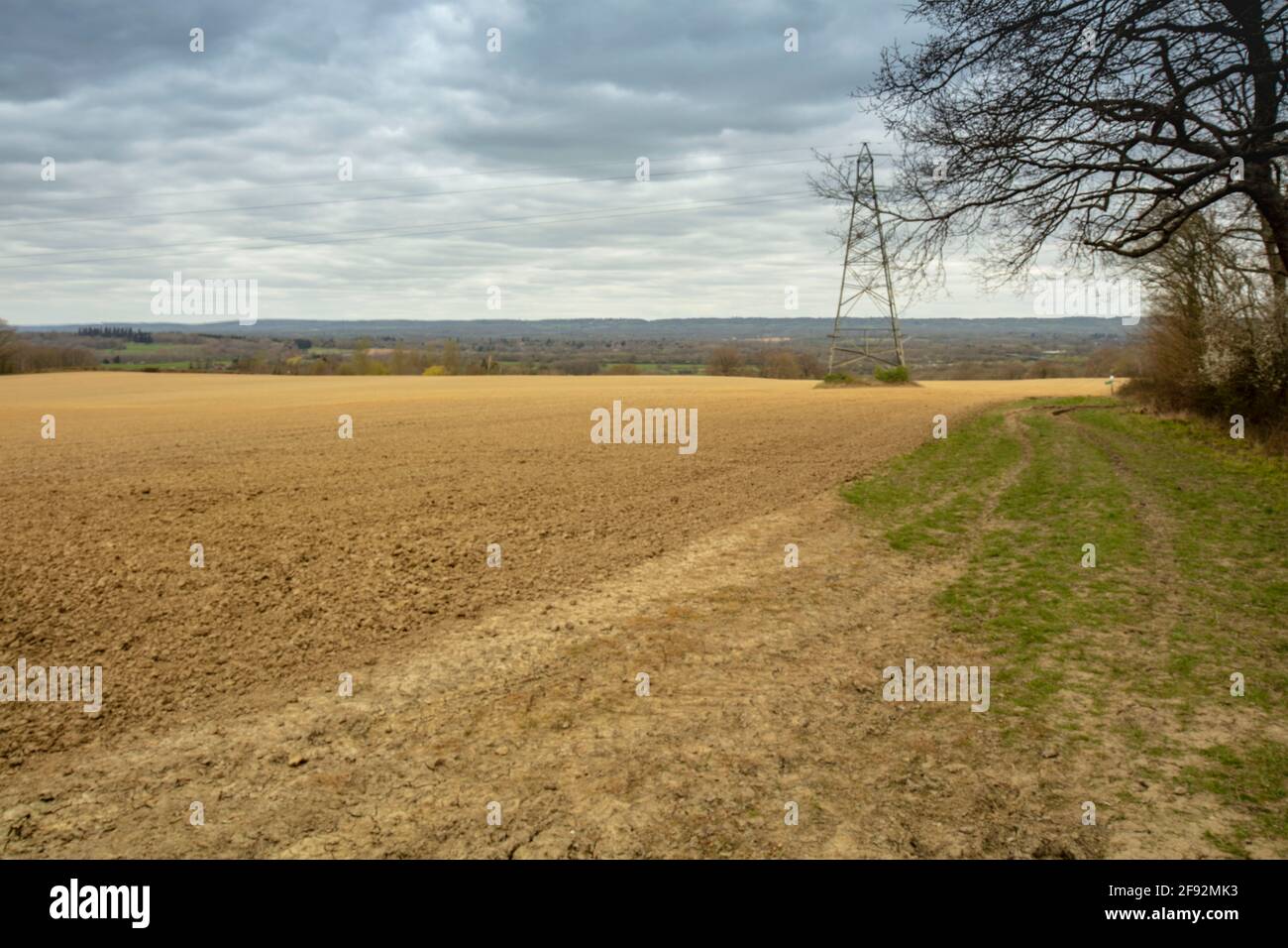 Kent (England) farmland landscape with electricity pylon along footpath ...
